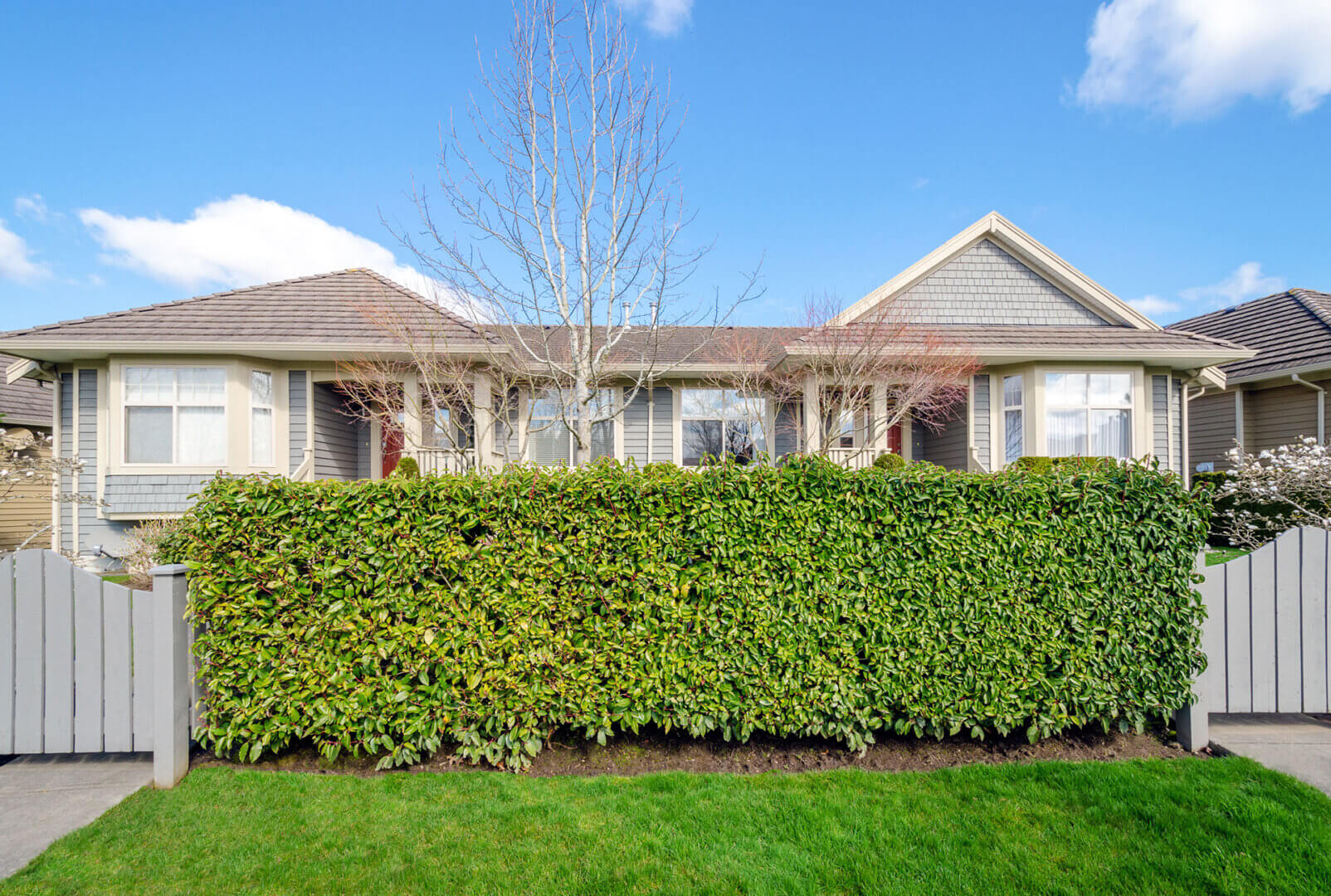Privacy Without a Fence: Spring Screening Ideas That Look Natural ...